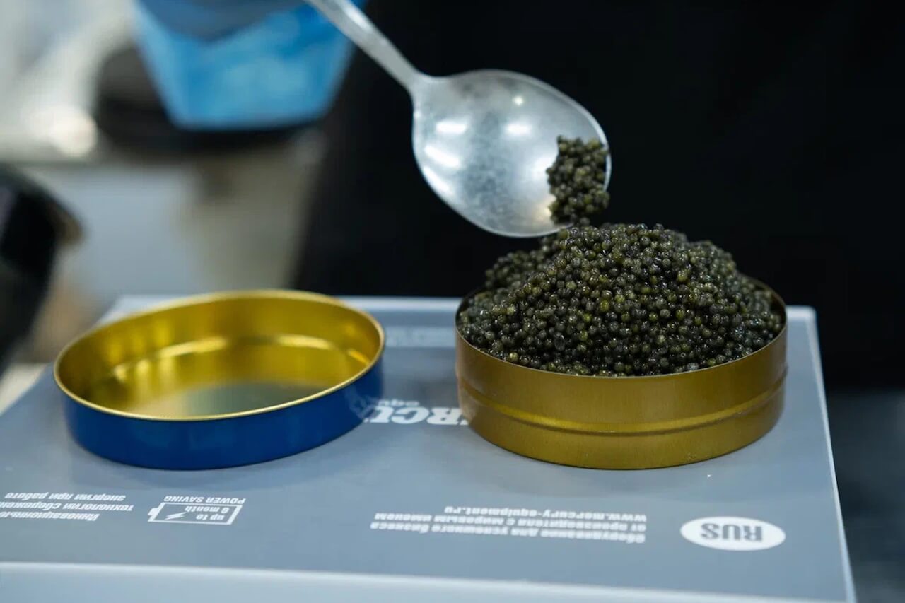 Почему черная икра такая дорогая в России: причины высокой стоимости и ...