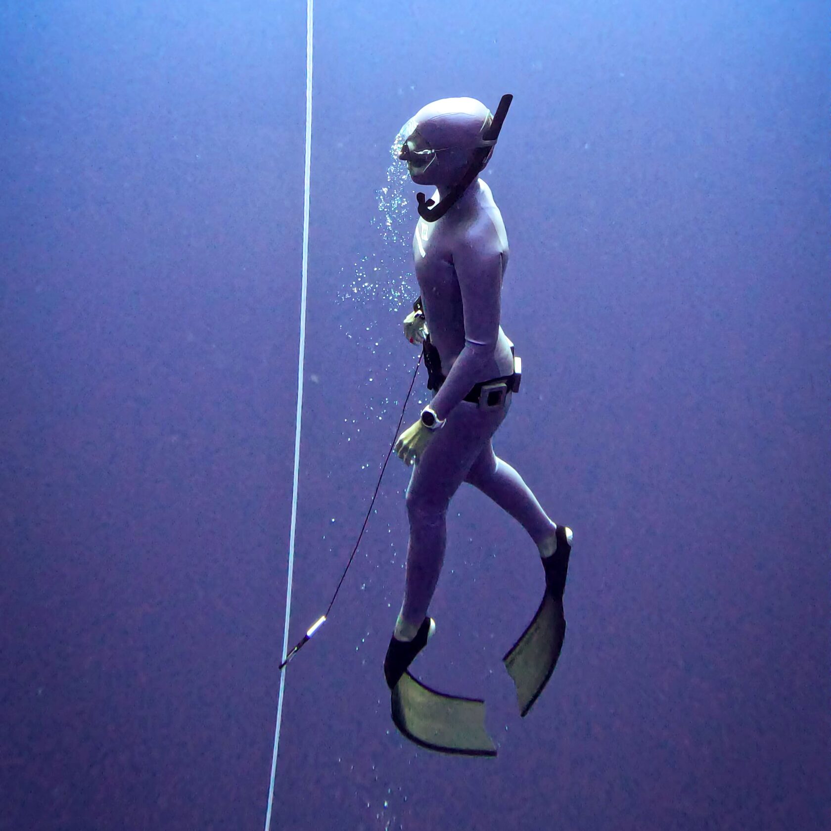 Professional Freediving Training in Sharm El Sheikh | Apnetica