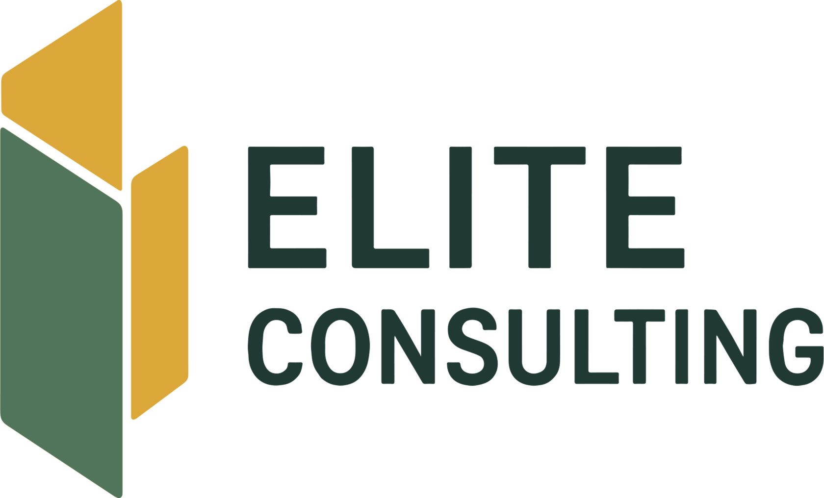 Elite Consulting