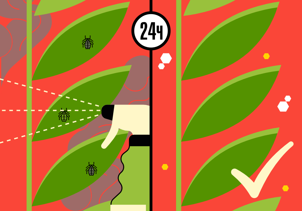 Simplex Kill’a’bugs — мощная защита от насекомых-вредителей