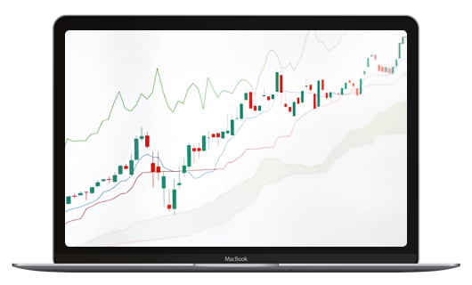 WELTRADE: Your Premier Destination for Forex Trading