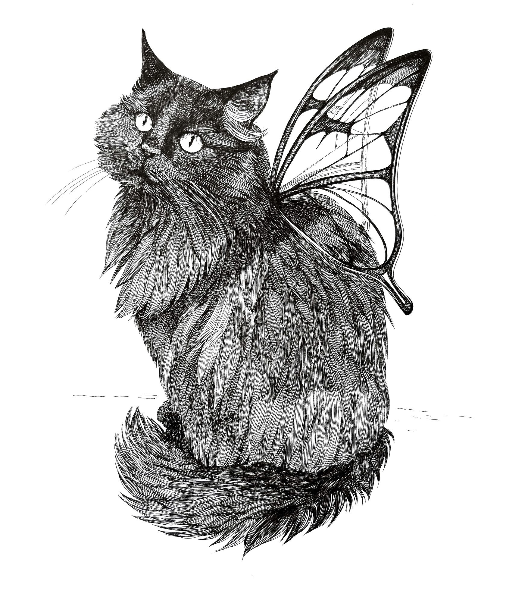 Natalia Ivan Illustrations