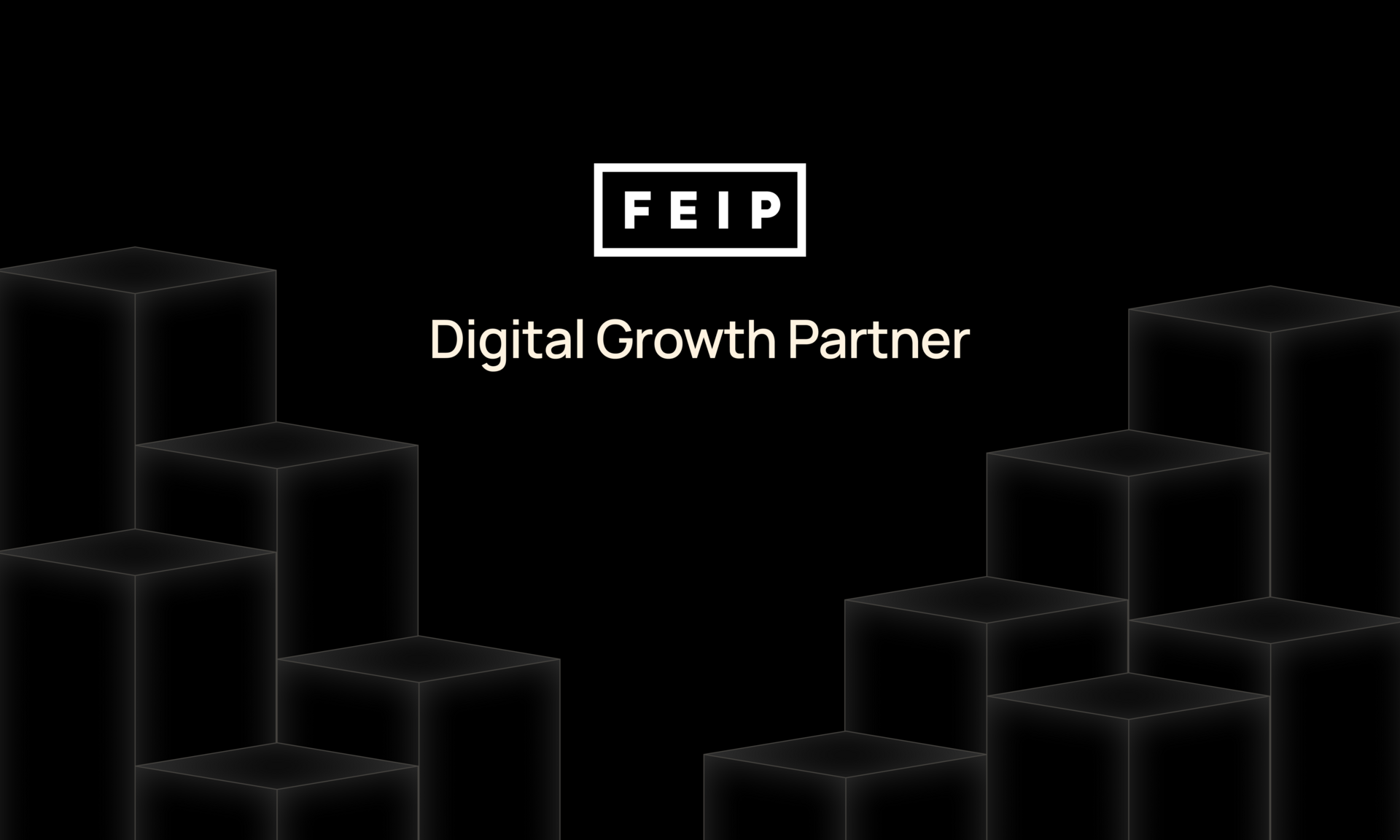 FEIP - Digital Growth Partner