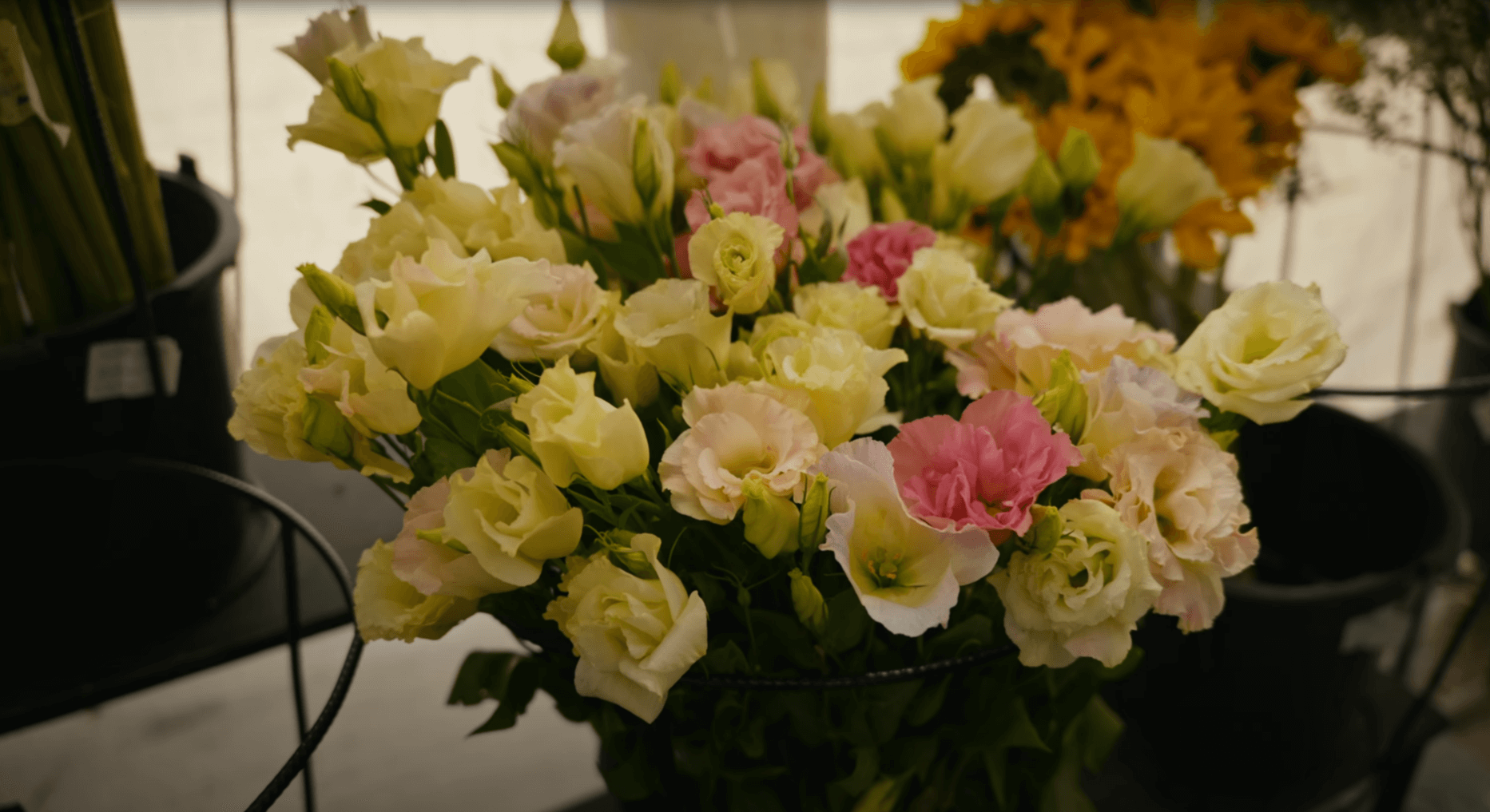 200 Га без роз. Что же выращивают в Florsani?