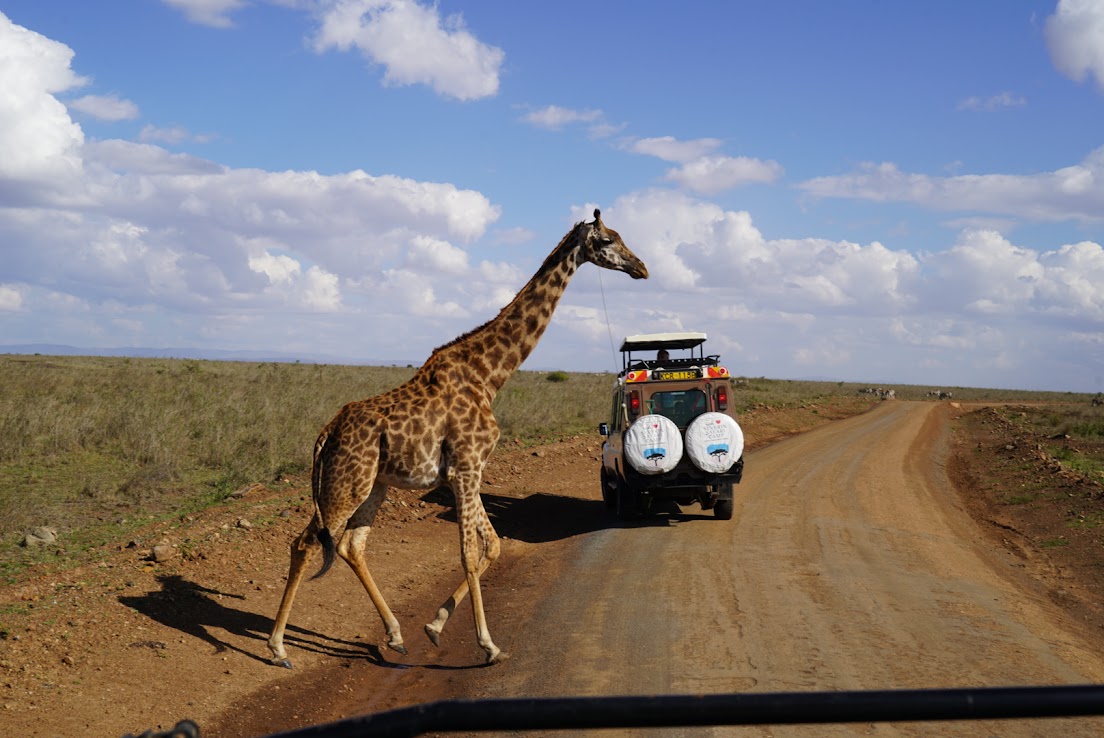Путешествие в Кению