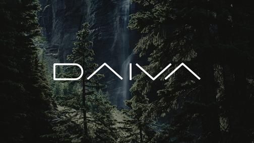 DAIVA. УНИВЕРСИТЕТ САМОРЕЛИЗАЦИИ