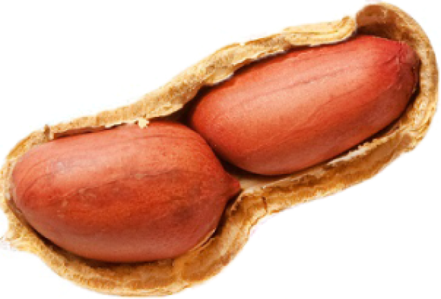 bikki.store - ФУНКЦИОНАЛЬНОЕ ПЕЧЕНЬЕ