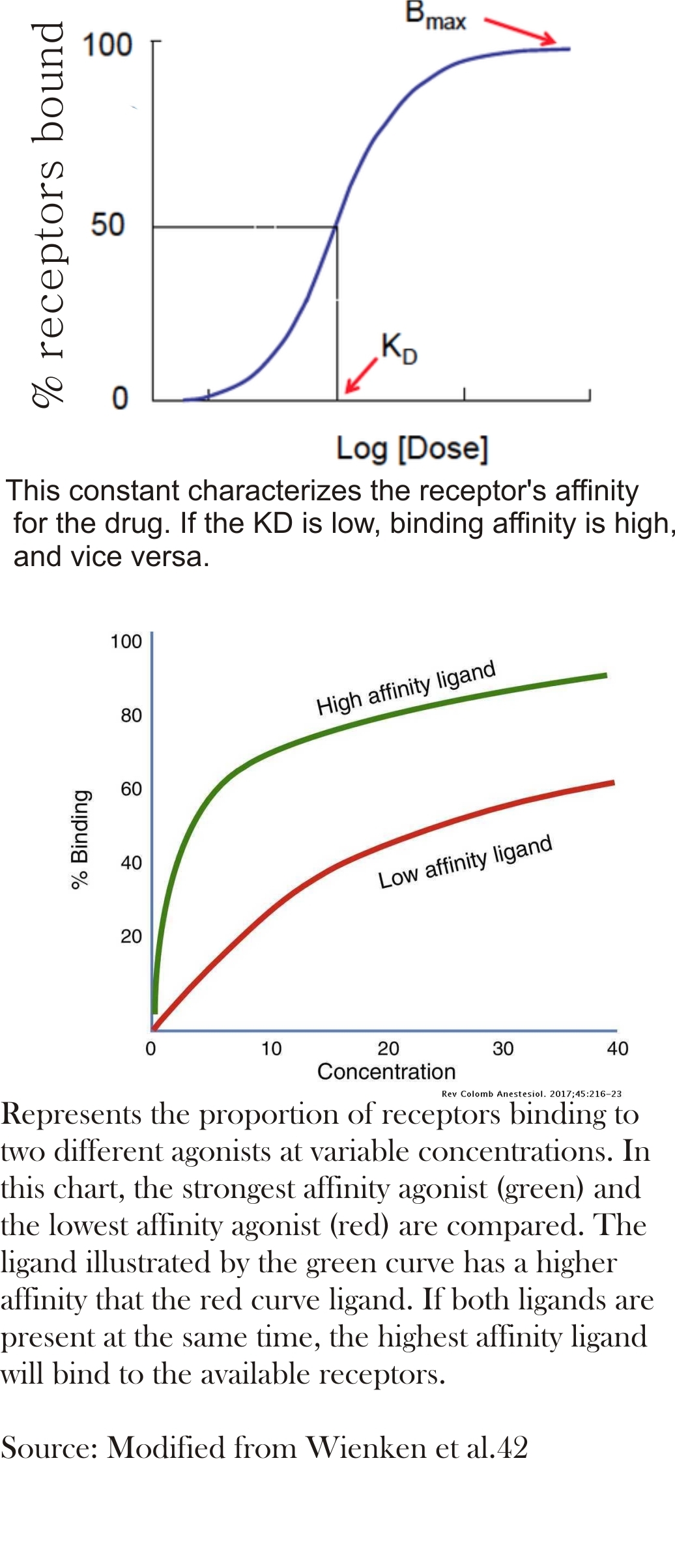 Antibody Affinity