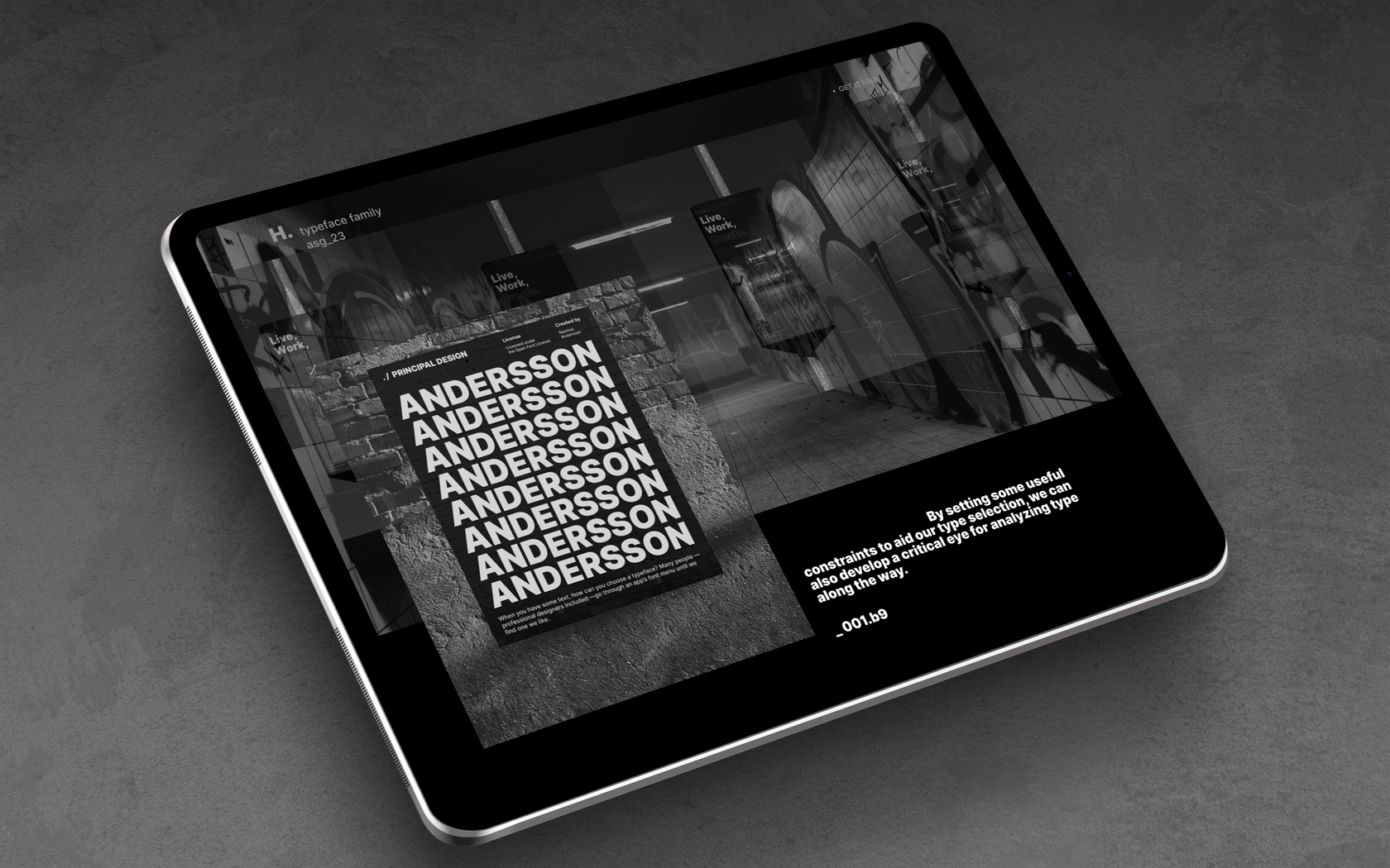 Inter Font | Typeface family