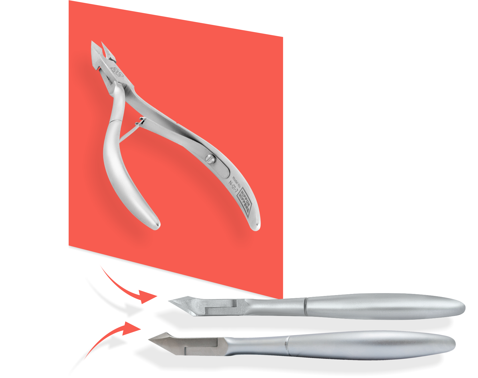 Nippon Nippers international