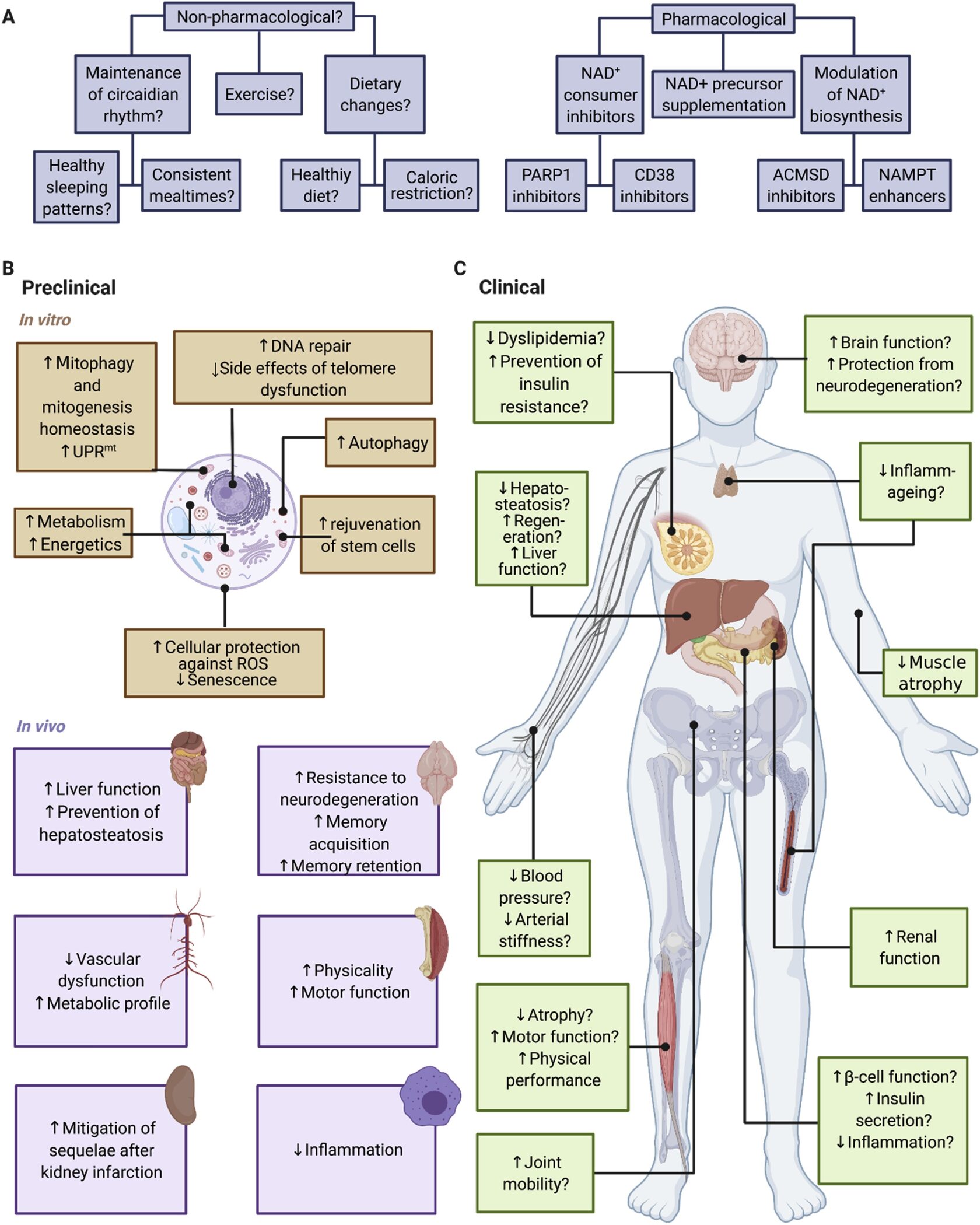 Therapies Based On Scientific Principles