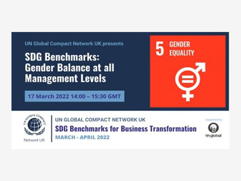 SDG Benchmarks for Business Transformation Webinar