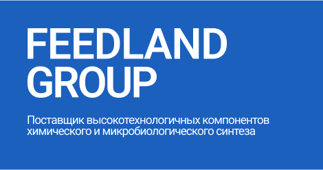 Главная страница