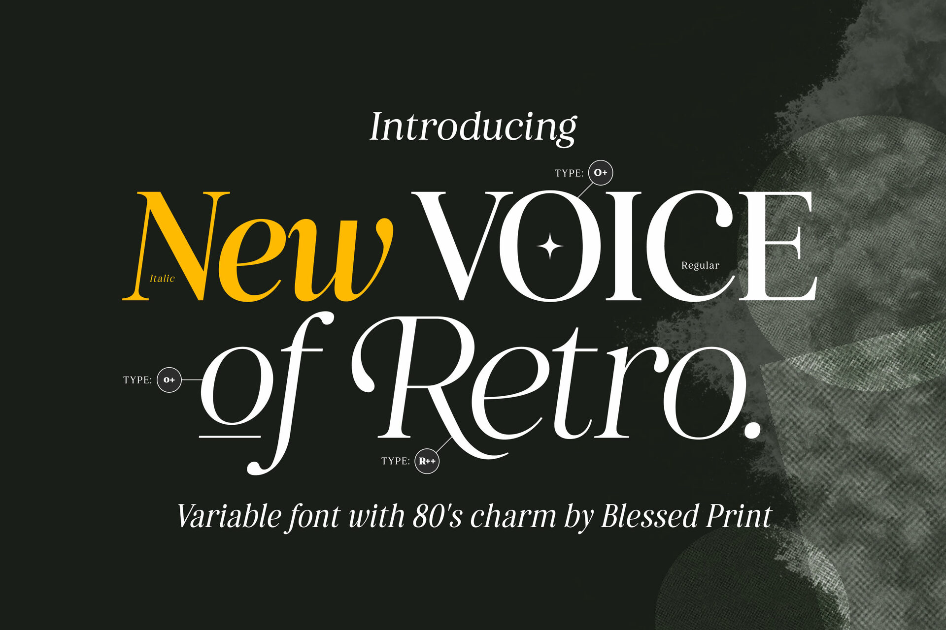 Retro Voice | Variable Serif Font by Blessed Print