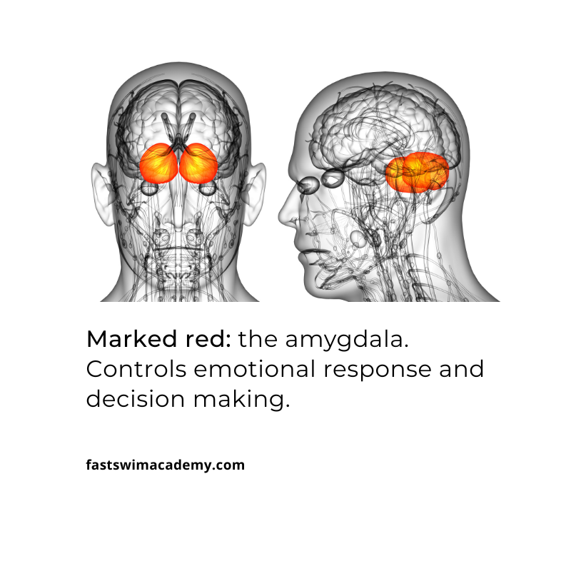 Tactics That Helped 1,345 People to Overcome Intense Fear in the ...
