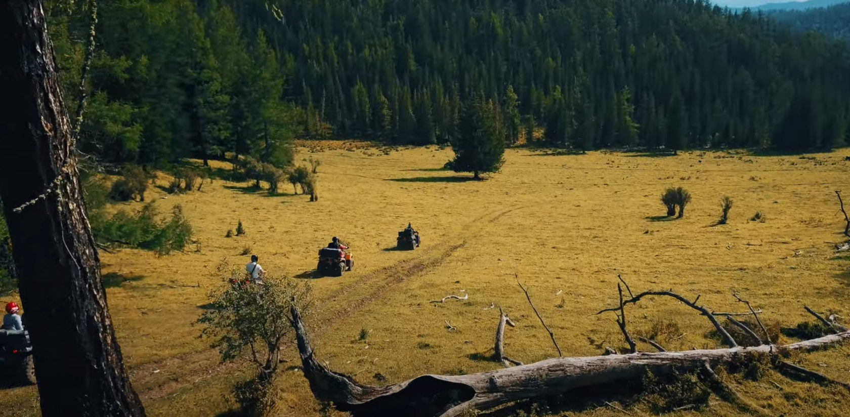 Отправься в глэмпинг Mamont Camp в горном Алтае