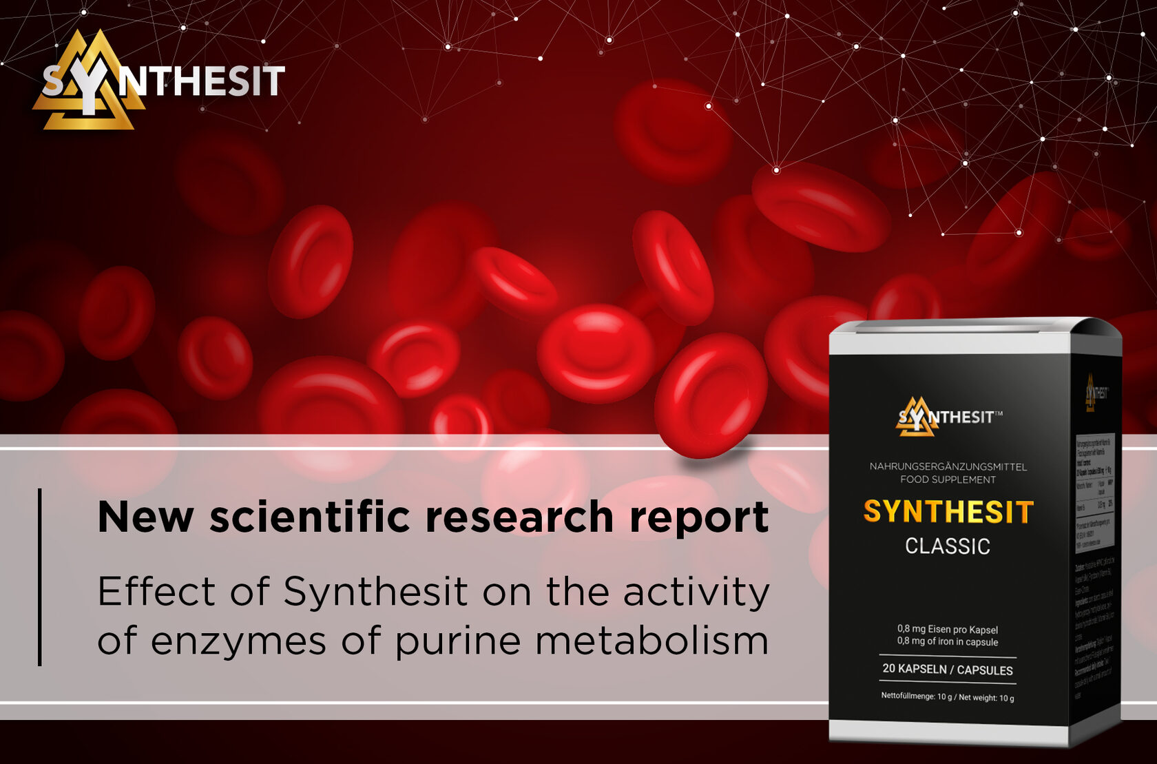 New scientific research. Synthesit’s mechanism of action to restore health