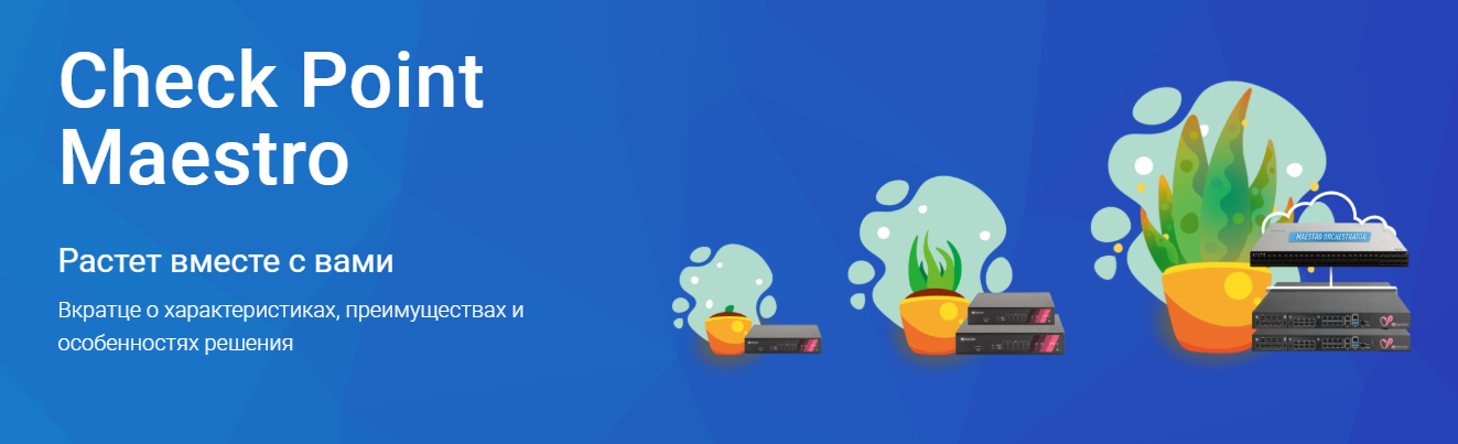 Check Point Maestro: кратко о характеристиках, преимуществах и ...