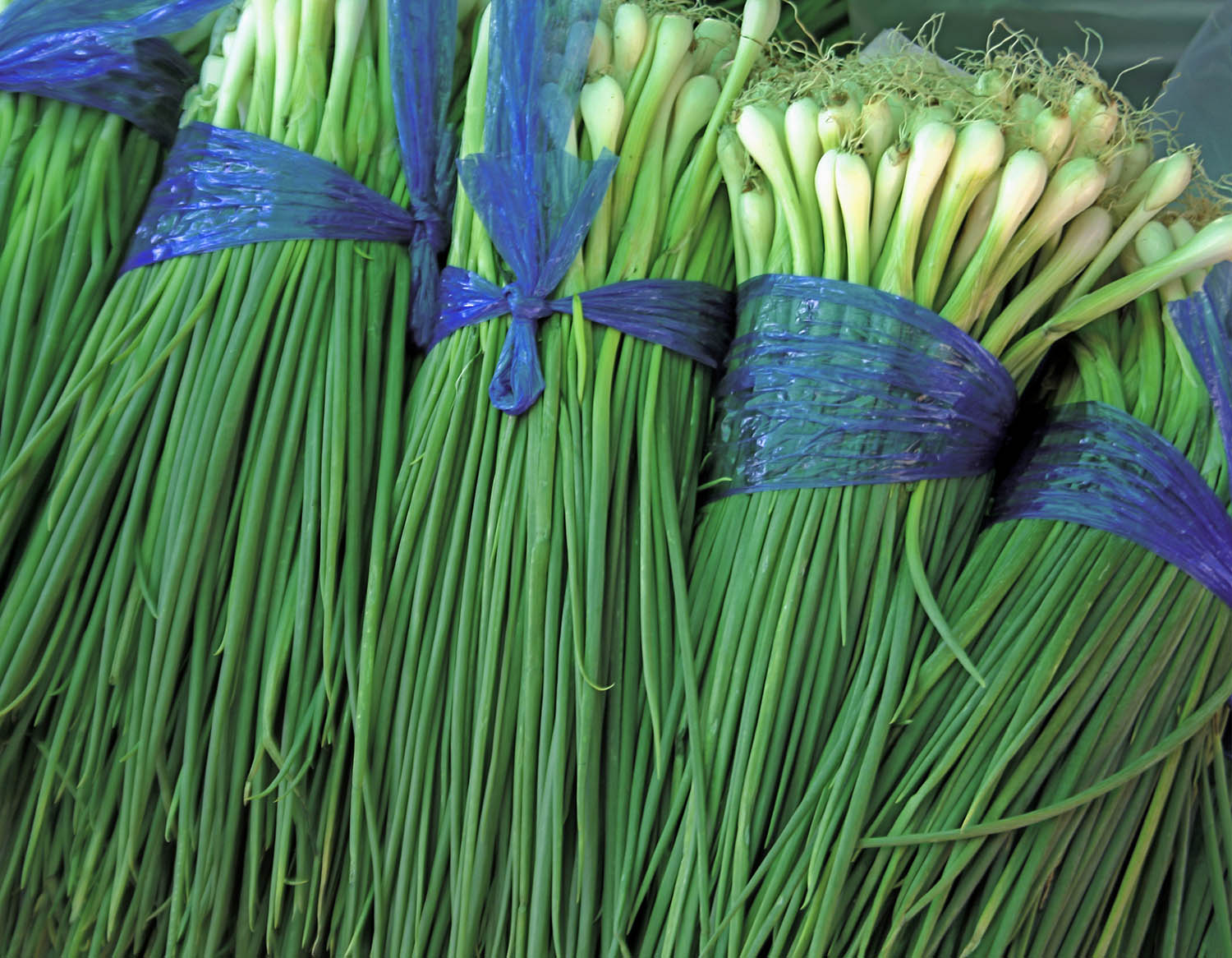 Cool-Season Plants: Why They Don’t Need Heat Mats to Grow