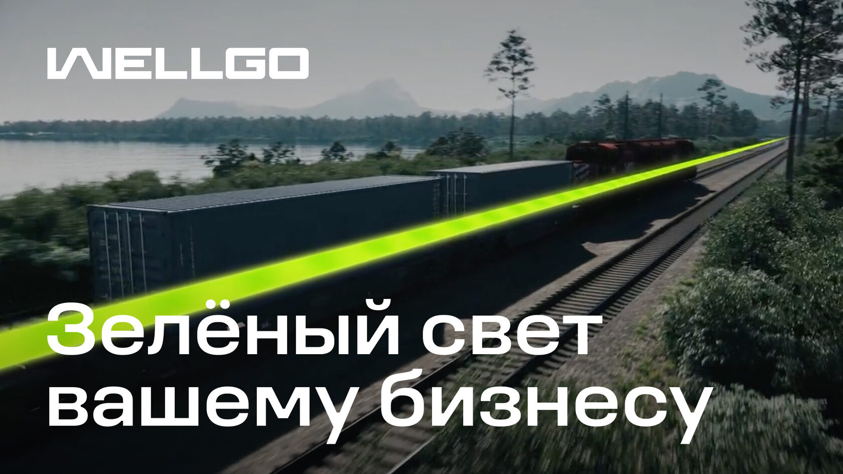 Wellgo — Freight Forwarding Services