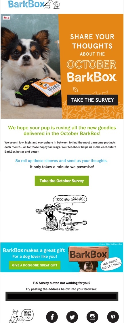 20 Examples of Fantastic Email Copywriting: Creative Survey Invitations