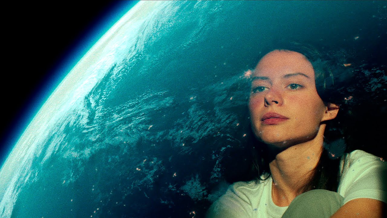 Дельфин | Официальный сайт