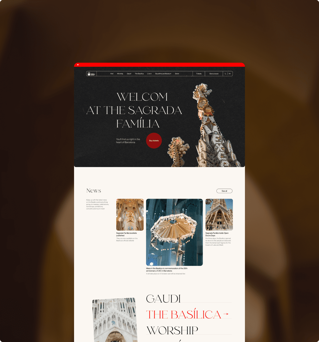 Дизайнер Julia Kalash