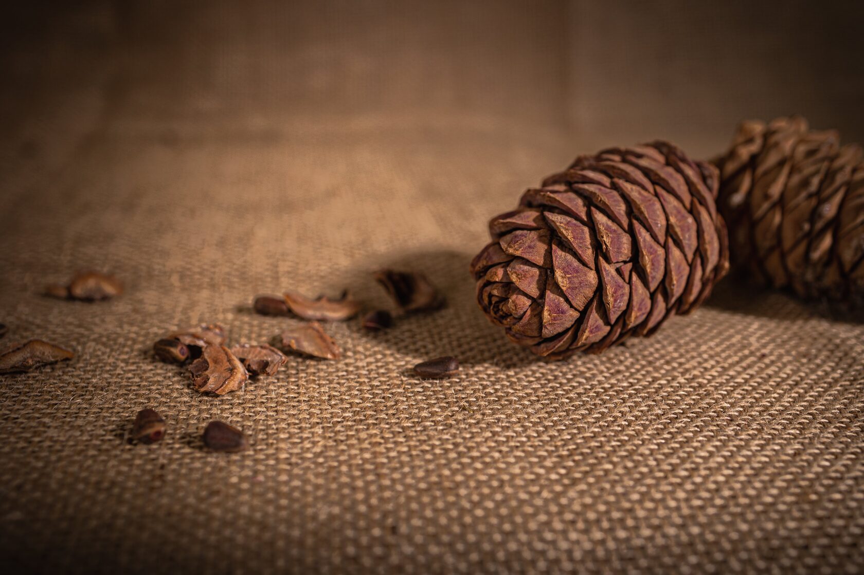 Злат Алтай магазин эко-продуктов