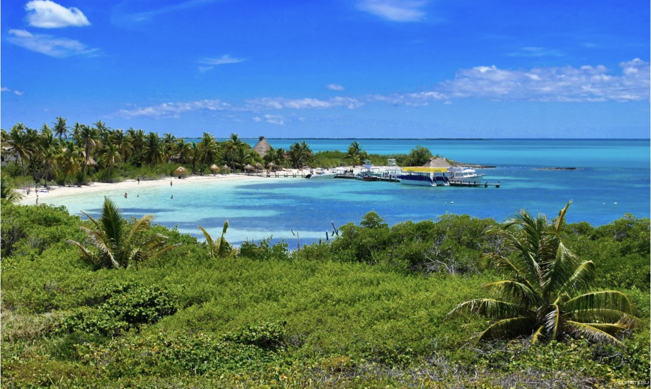 Contoy Island (Isla Contoy). Things to DO in Contoy, Mexico