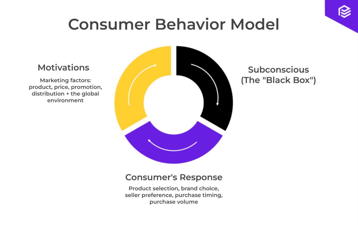 Understanding Consumer Behavior: Socio-cultural and Marketing Influences
