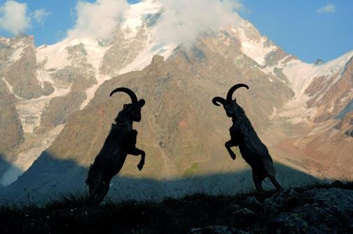 Kabardino-Balkaria Nature Reserve