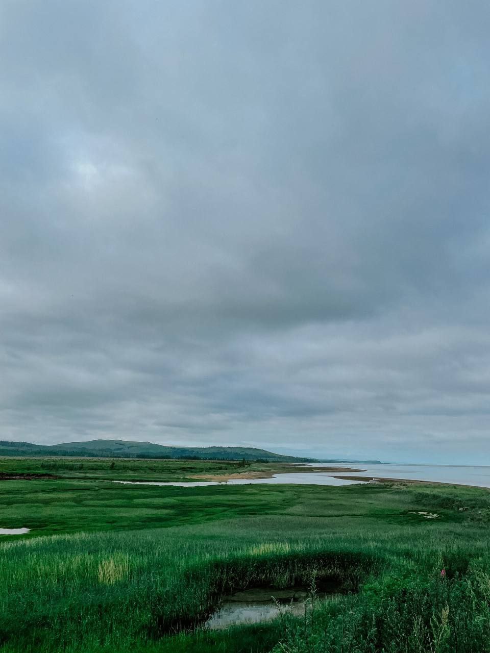 Spectacular tour of the Shantar Islands