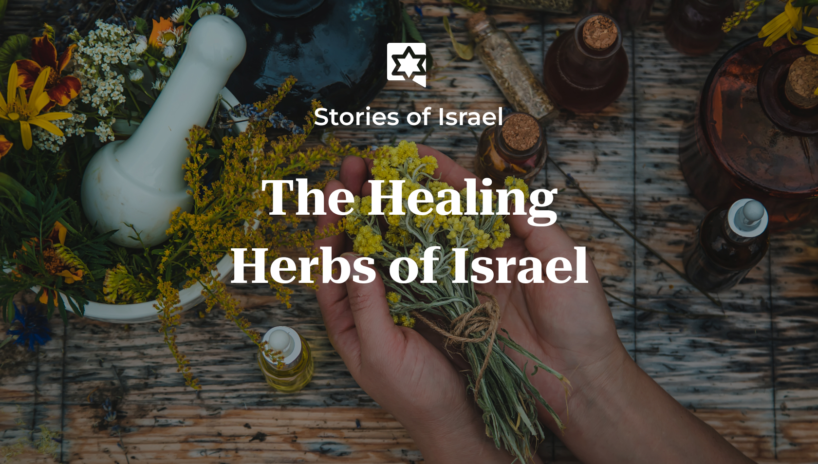 The Healing Herbs of Israel - Stories of Israel | Israel Cart