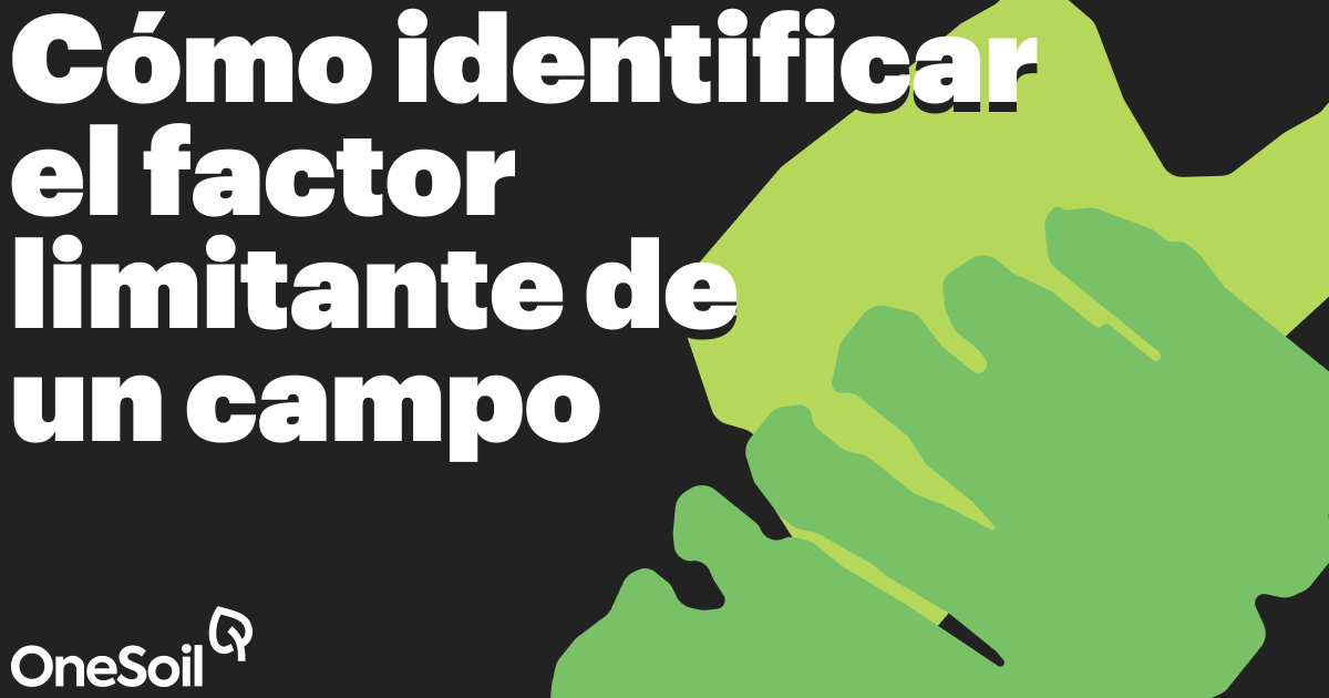 Cómo identificar el factor limitante de un campo con OneSoil