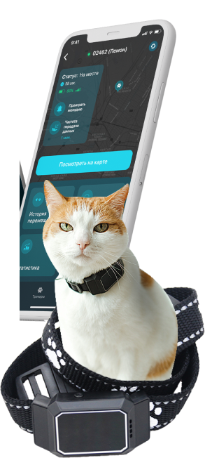 GPS-ошейник (трекер) для собак Petsee купить на официальном сайте, цена ...