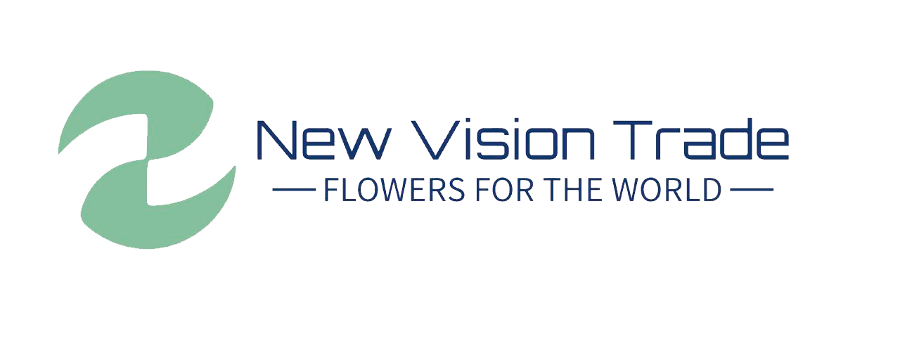 New Vision Trading