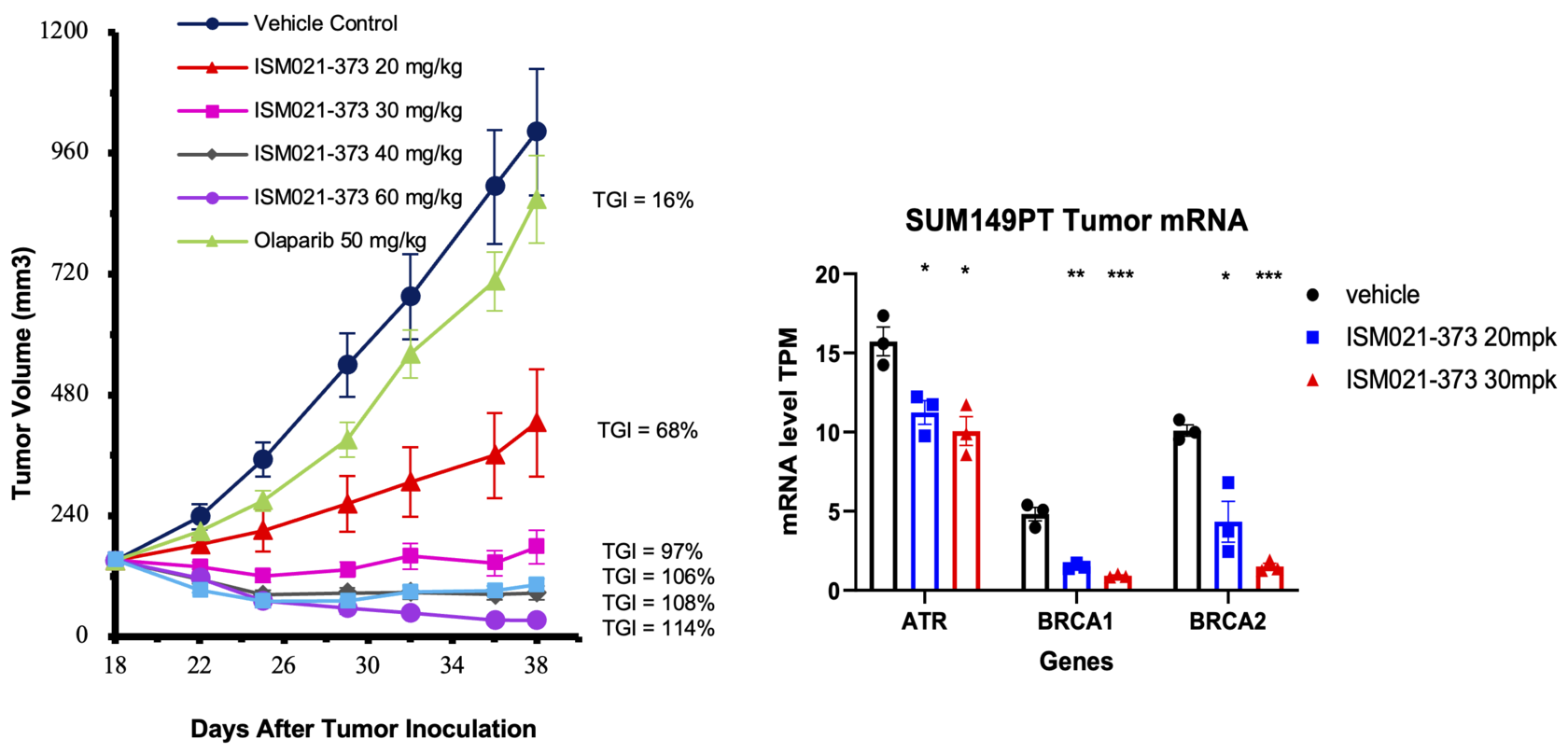 CDK12/13 | Insilico Medicine