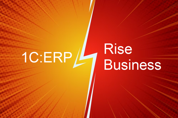 1C:ERP WE vs Rise Business | Choose the Best ERP Solution for Your Industry