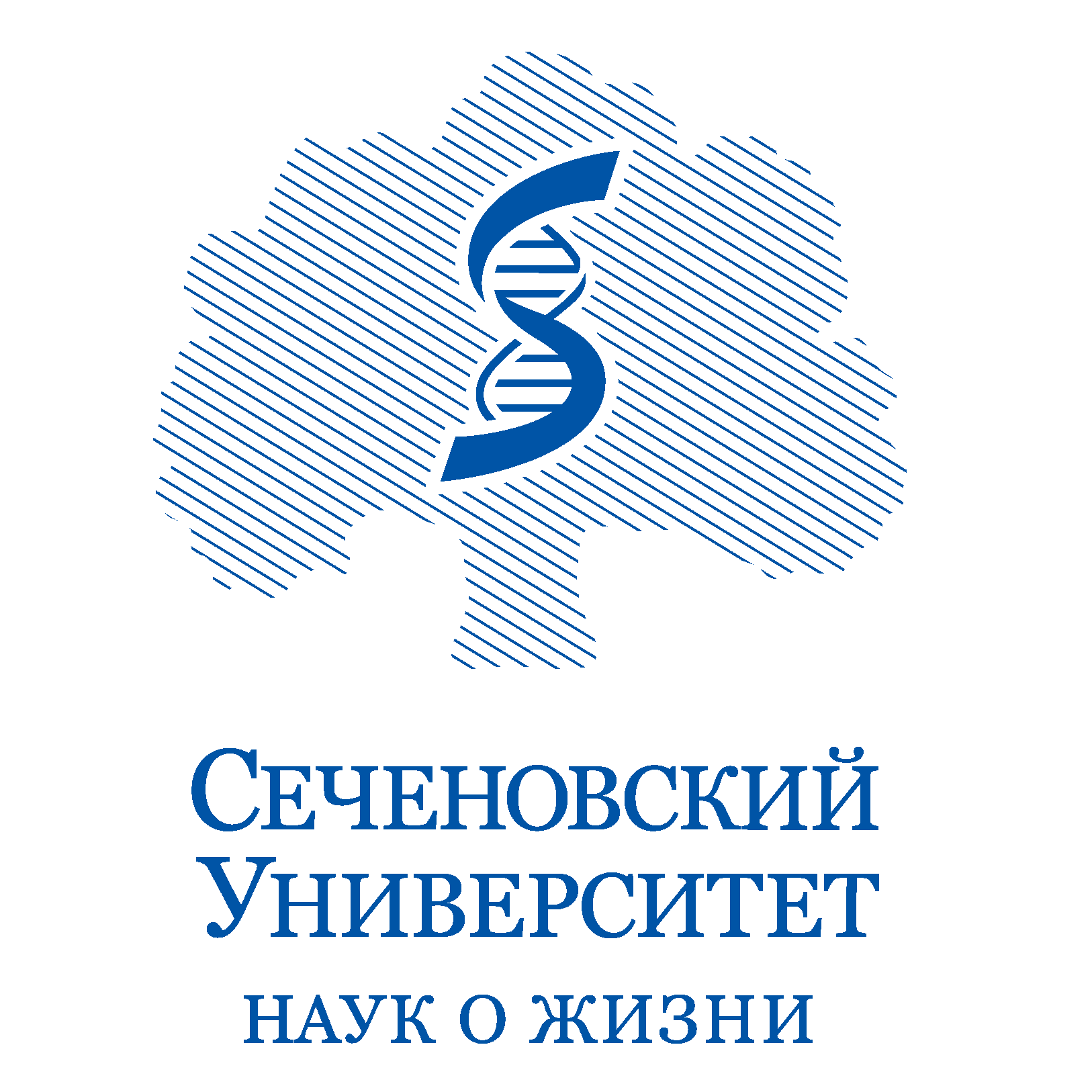 Pirogov Anatomy App for teachers and students | 3D anatomy atlas