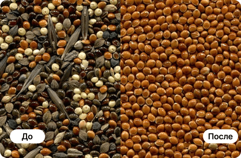 Фотосепаратор SmartSort C3