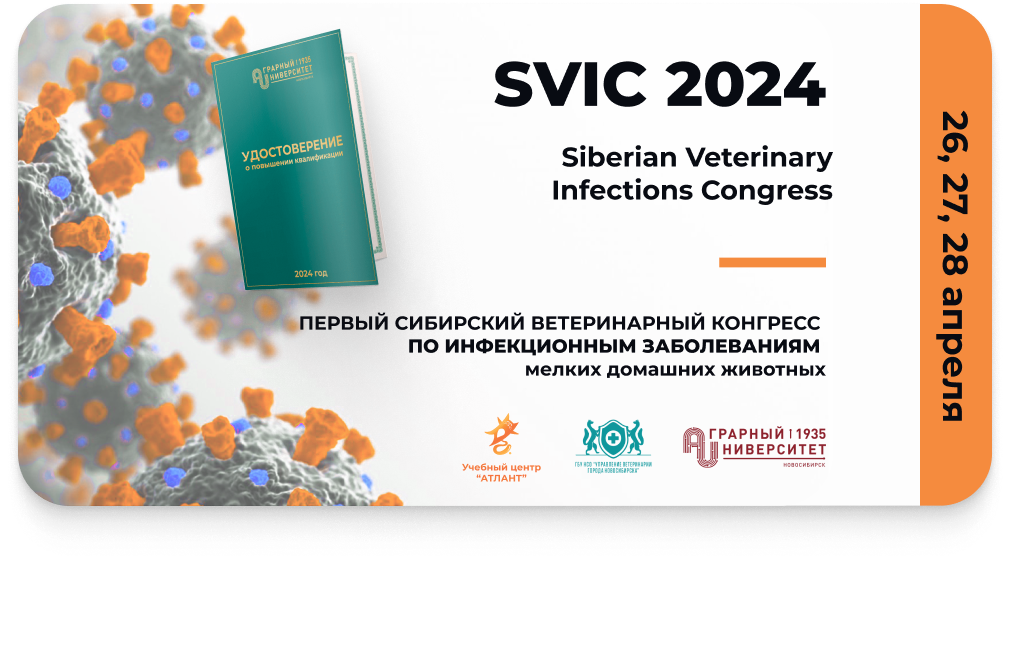Мероприятие SVIC 2025