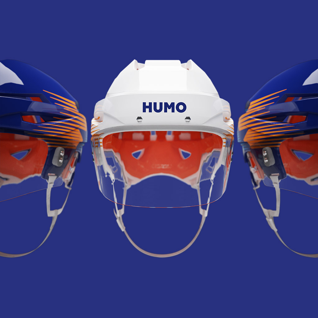 Разработка платформы позиционирования для новой хоккейной команды из ...