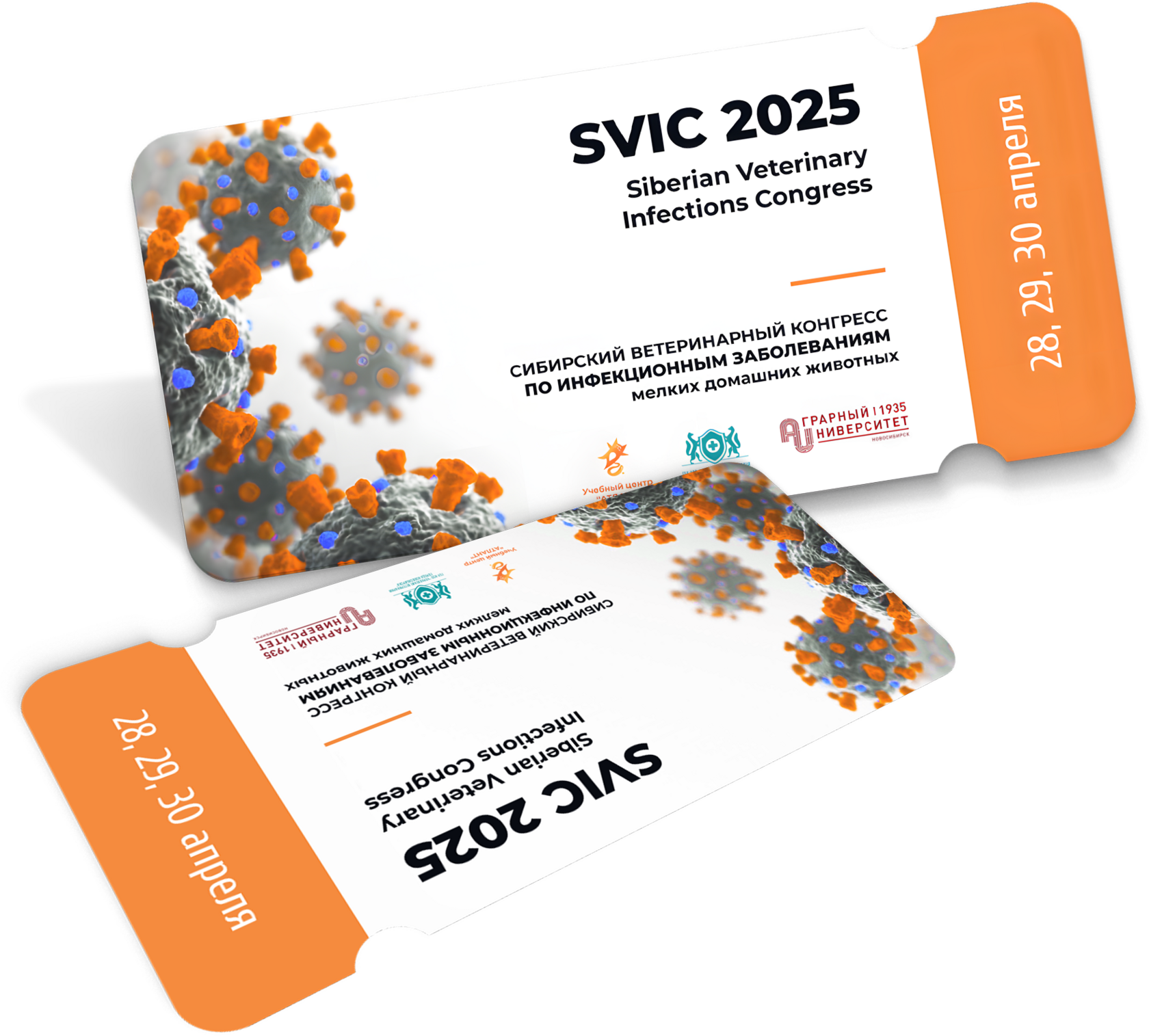 Мероприятие SVIC 2025
