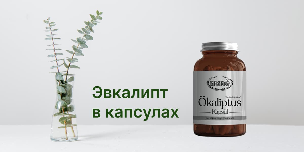 Листья Эвкалипта Ersag: состав, полезные свойства, применение | Эрсаг Блог
