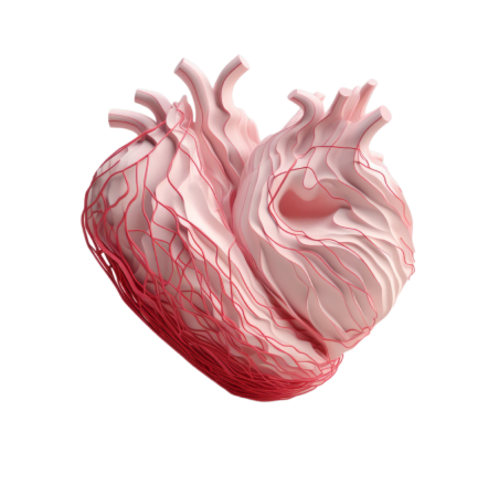 EVALITE.Superfood - товары для здоровья и саморазвития