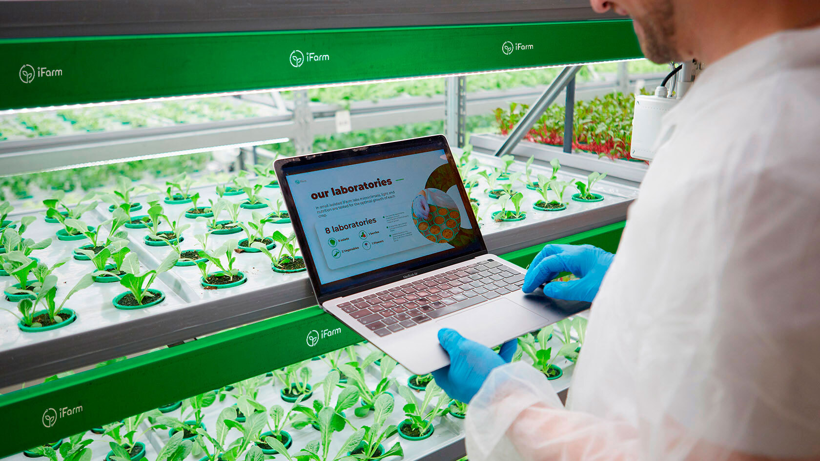 iFarm increased vertical farming efficiency with a cutting-edge DFT system
