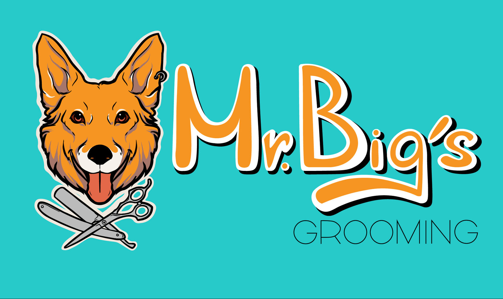 Mr Big s Grooming Mr Big s Grooming