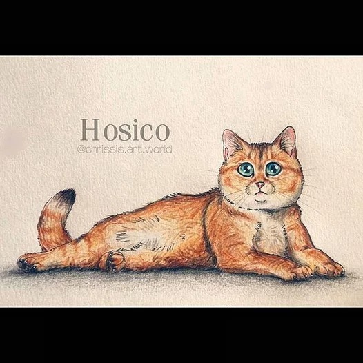 HOSICO FAN ART