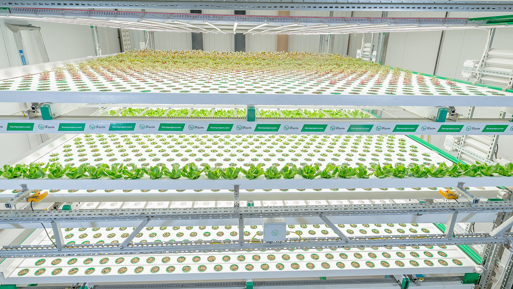 Fully Automated vertical farming technology cuts labour costs and ...