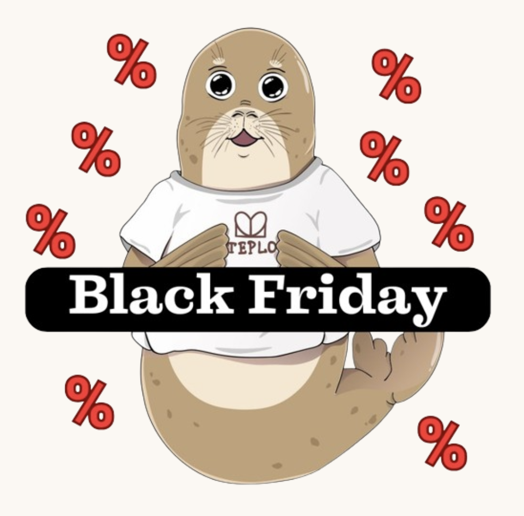 Черная пятница 2024